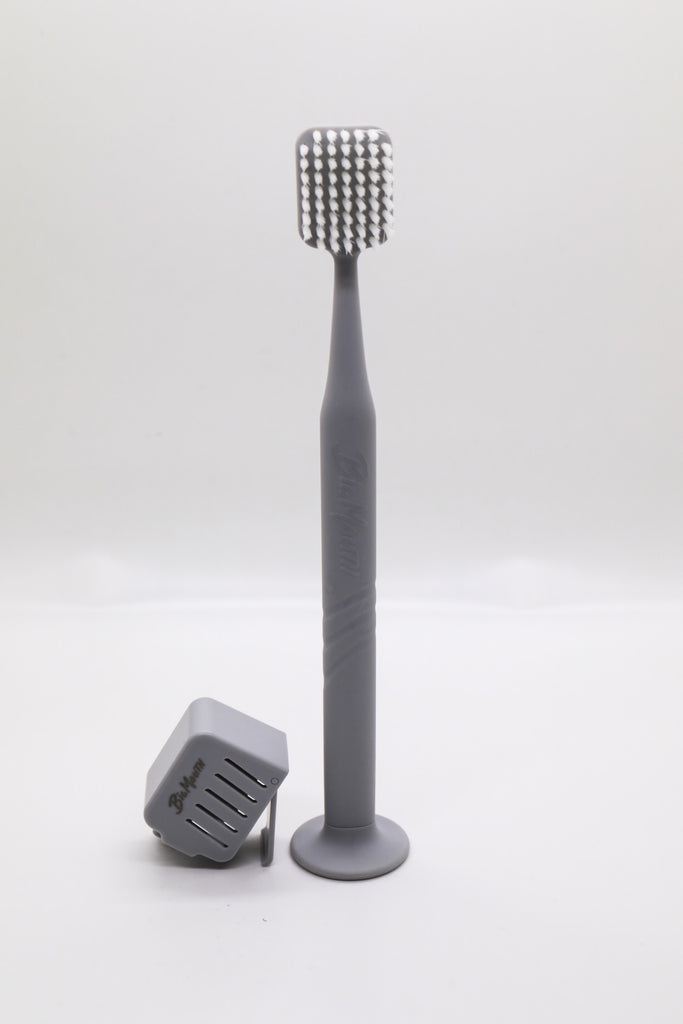 Big Mouth Manual Toothbrush – BigMouthToothBrush